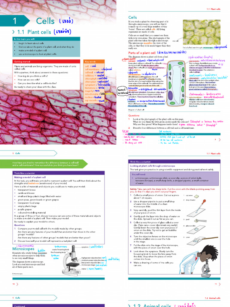 Ging CLS-Science Learner 7 | PDF | Biology | Histology