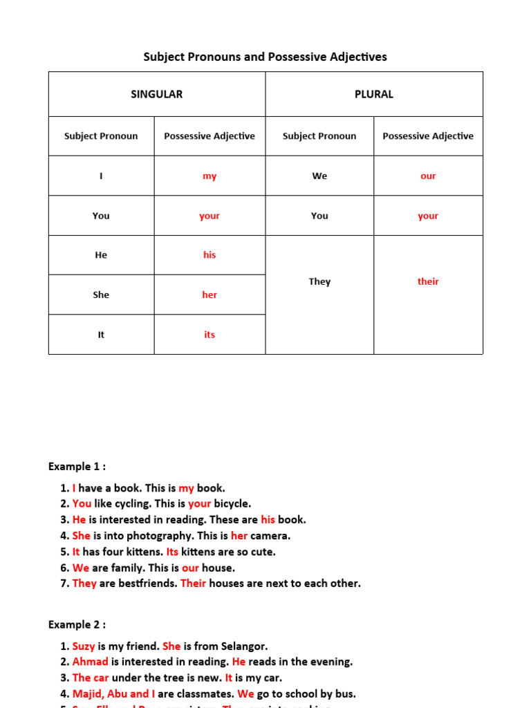 Subject Pronouns and Possessive Adjectives | PDF