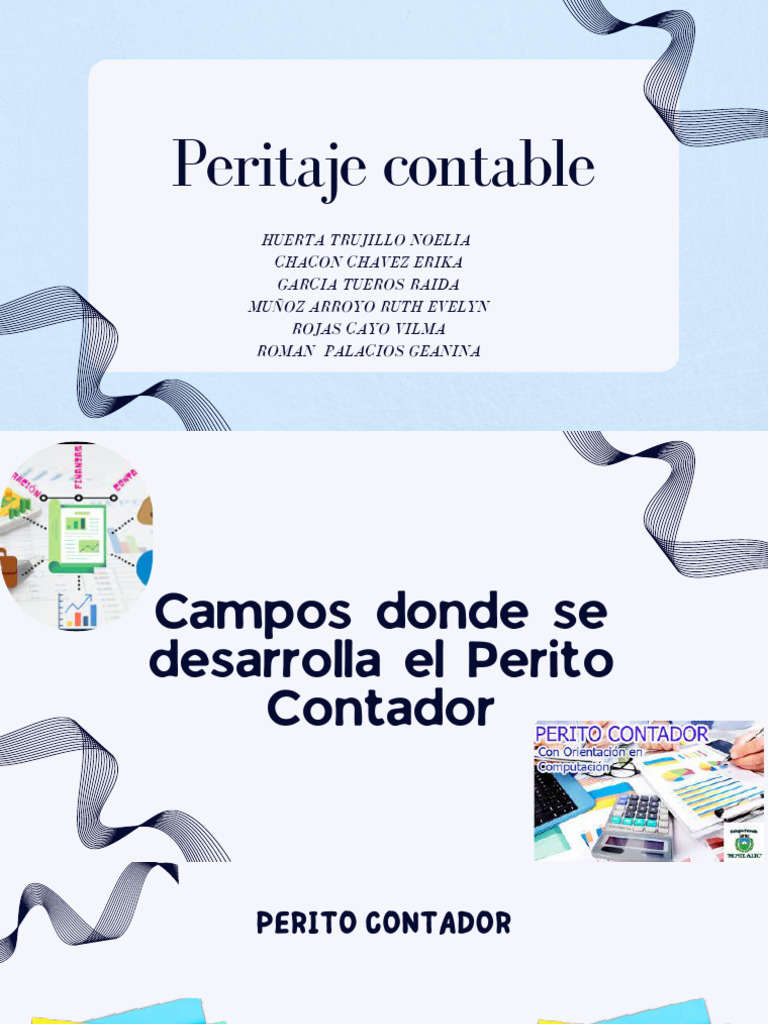 Peritaje Contable | PDF | Testigo experto | Contabilidad