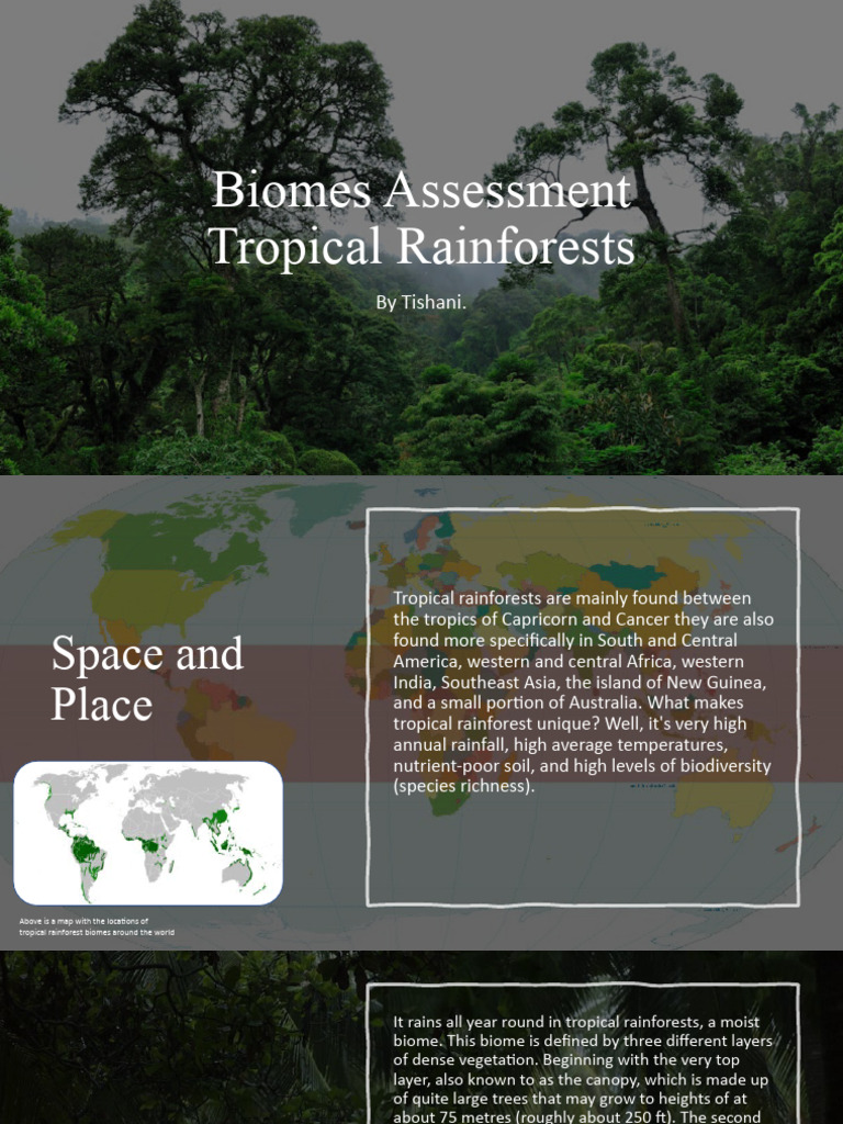 Biomes Assessment 2023 | Download Free PDF | Rainforest | Tropics