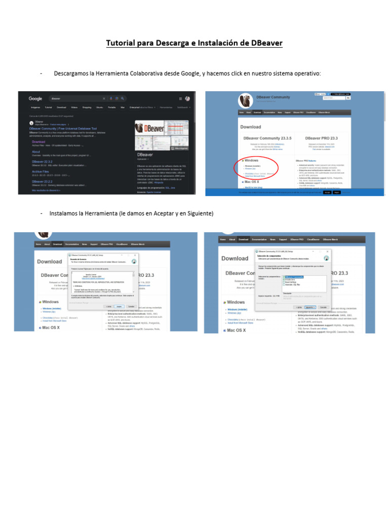 Guía Instalación y Configuración DBeaver | PDF | Crecimiento personal y profesional | Informática