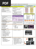 UTD Classification for Radiologists | PDF | Radiology | Urology