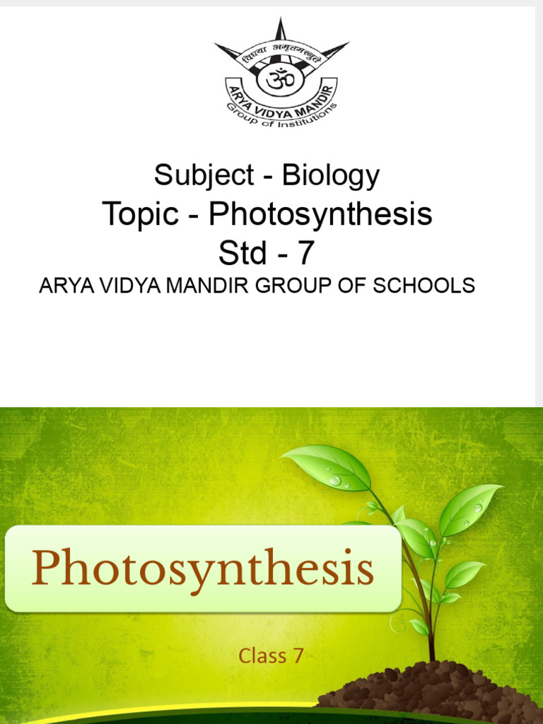 Photosynthesis .pptx | PDF | Photosynthesis | Stoma