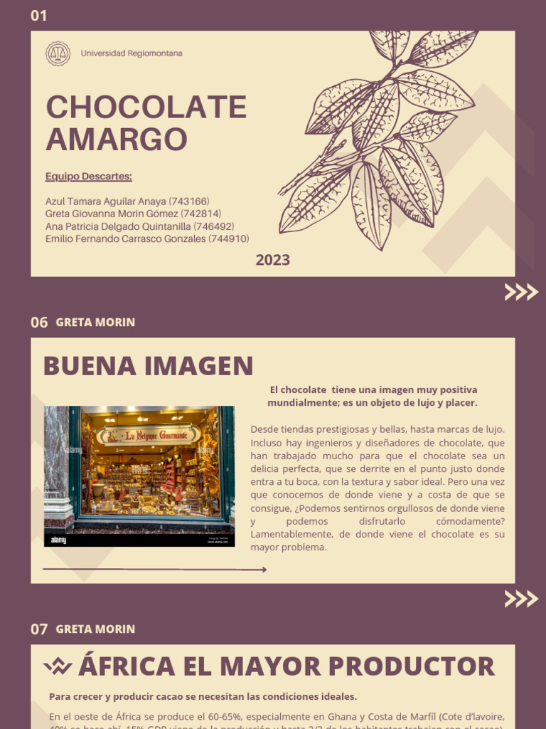 Proceso del Chocolate y su Impacto | PDF | Chocolate | Grano de cacao