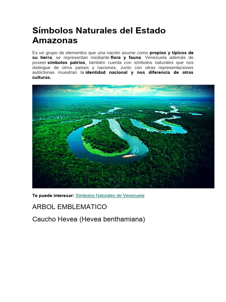 Símbolos Naturales Del Estado Amazonas | PDF