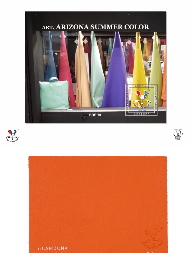 Arizona Summer Color | PDF