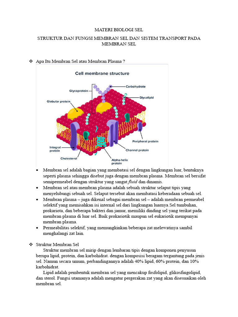 MATERI BIOLOGI SEL (struktur dan fungsi membran sel, dan sistem ...