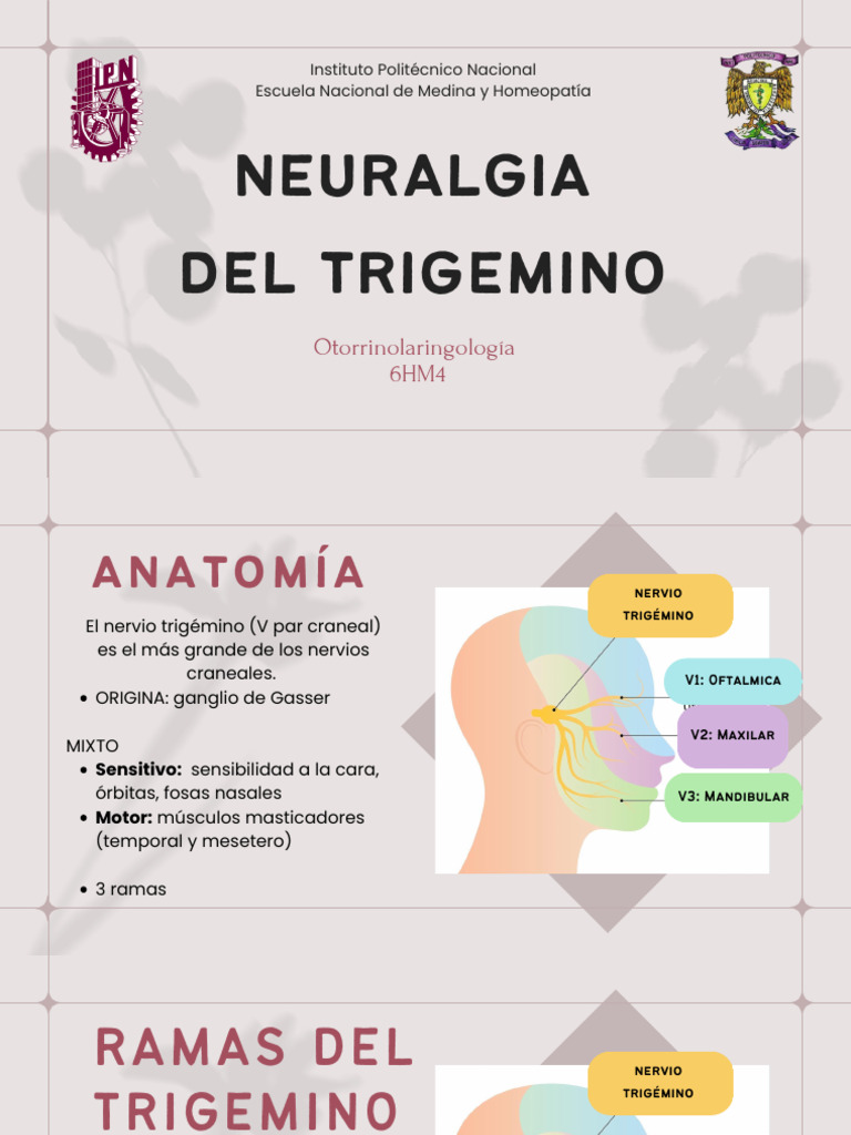 Neuralgia del Trigemino | PDF | Anatomía humana | Cabeza y cuello humanos
