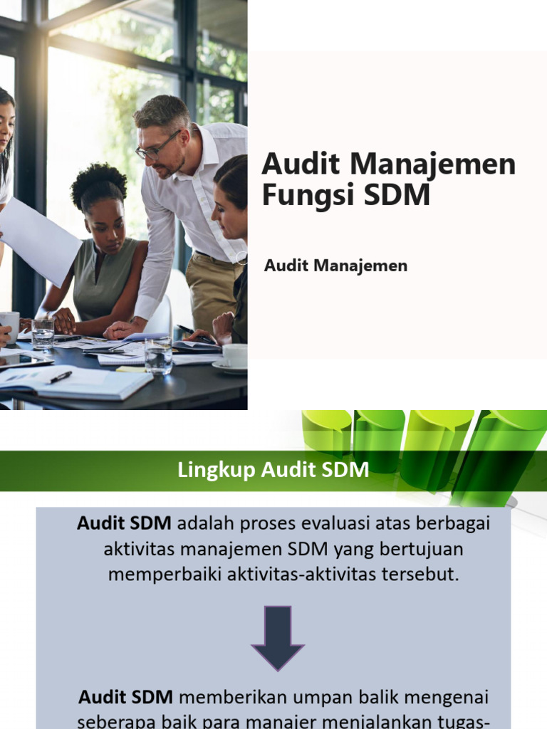 Audit Manajemen Fungsi SDM | PDF | Karier & Perkembangan | Bisnis