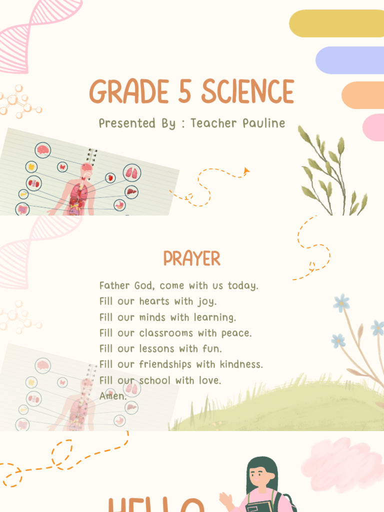 Grade 5 Science Presentation | PDF | Menstrual Cycle | Endocrinology