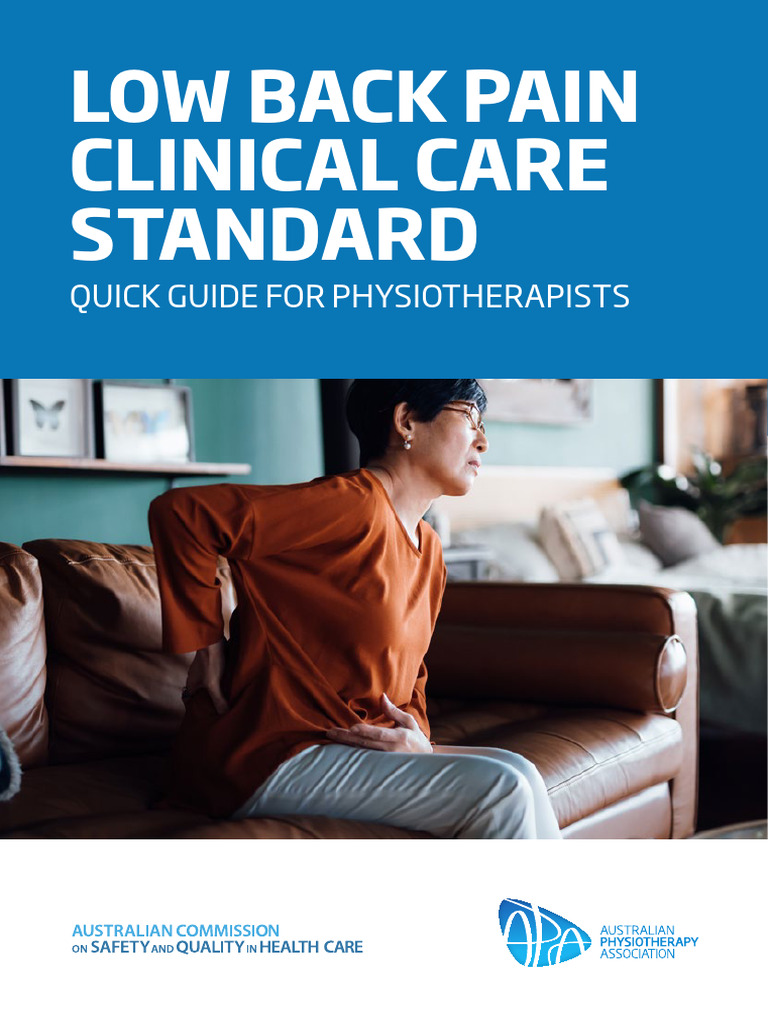 Low Back Pain Care Guide for Physios | PDF | Back Pain | Pain Management