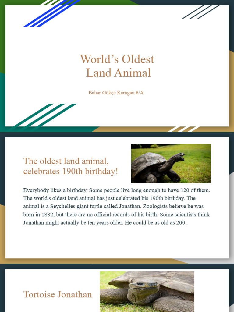 World's Oldest Land Animal | PDF | Social Science | Cooking, Food & Wine