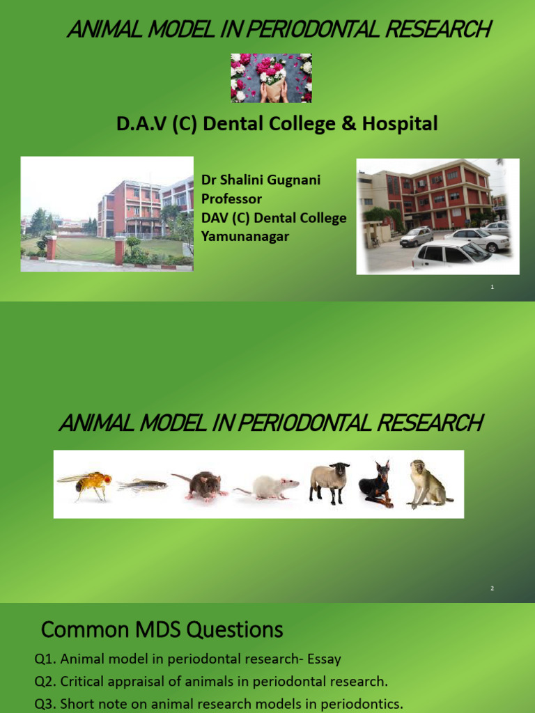 Animal Models in Periodontal Research | PDF | Animal Testing | Human Tooth
