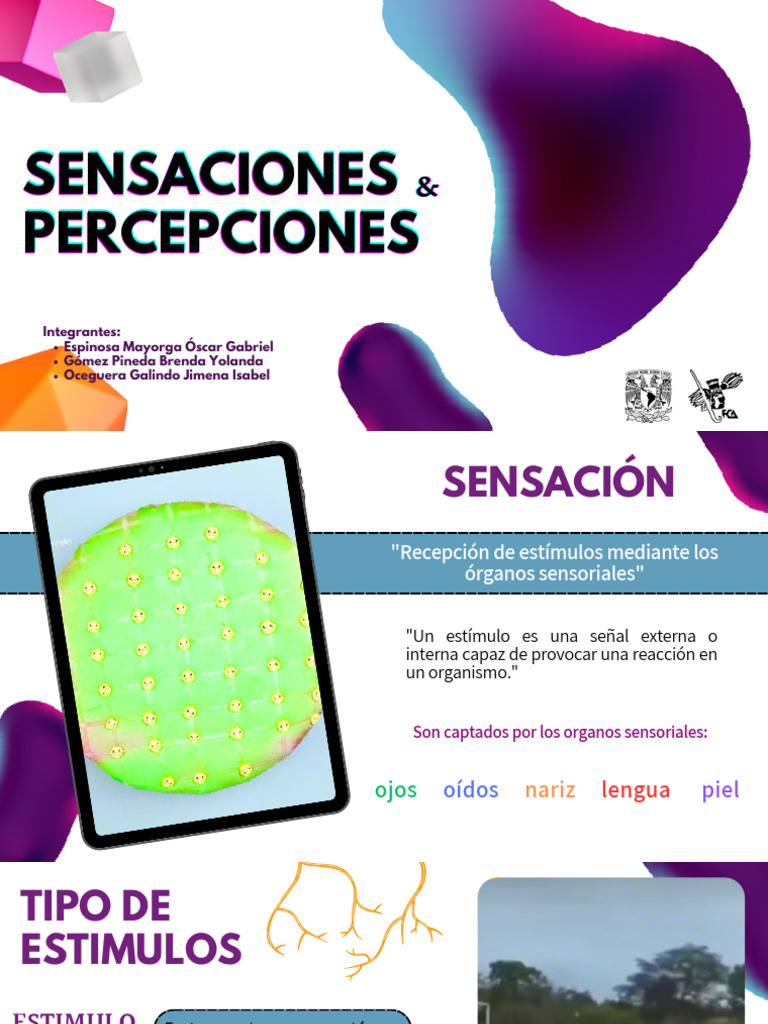 Sensaciones y Percepciones | PDF | Sentidos | Percepción