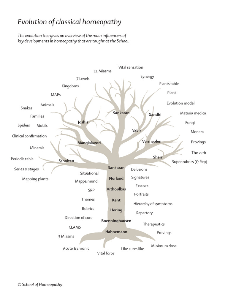 Homeopathy Evolution Tree | PDF | Homeopathy | Ethically Disputed Practices