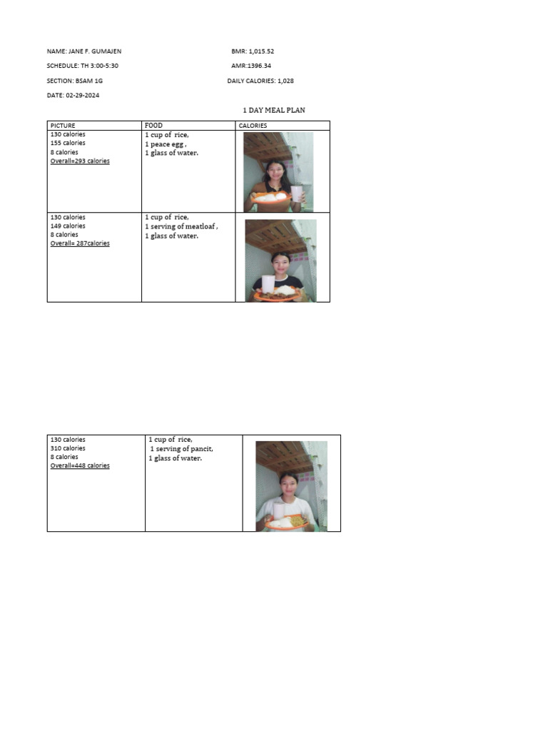 Jane's 1-Day Meal Plan PDF | PDF | Wellness