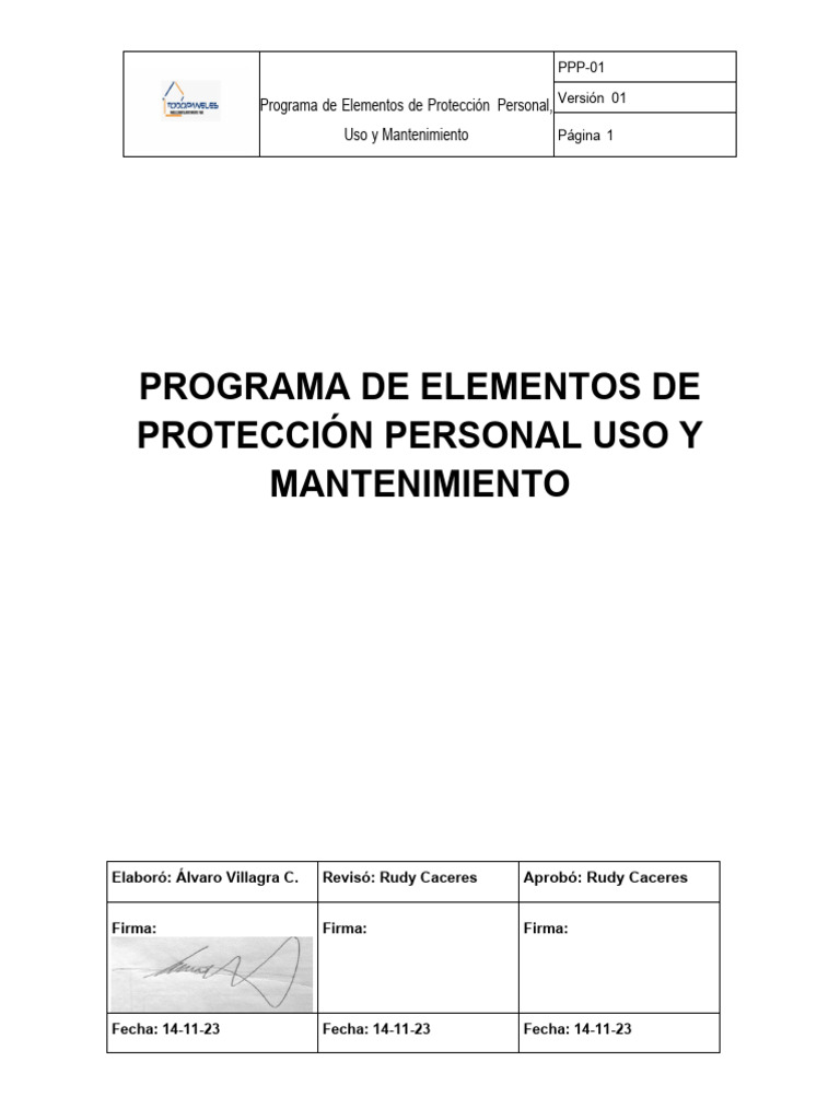 Programa EPP uso y mantenimiento | PDF