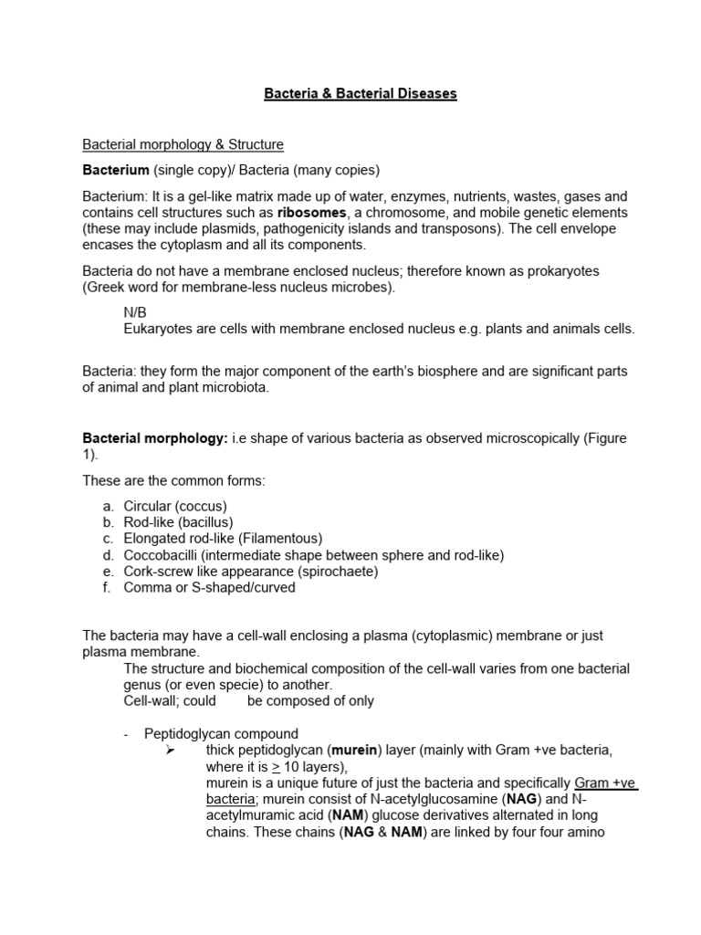 Bacteria and Bacterial Diseases Lecture Notes | PDF ...