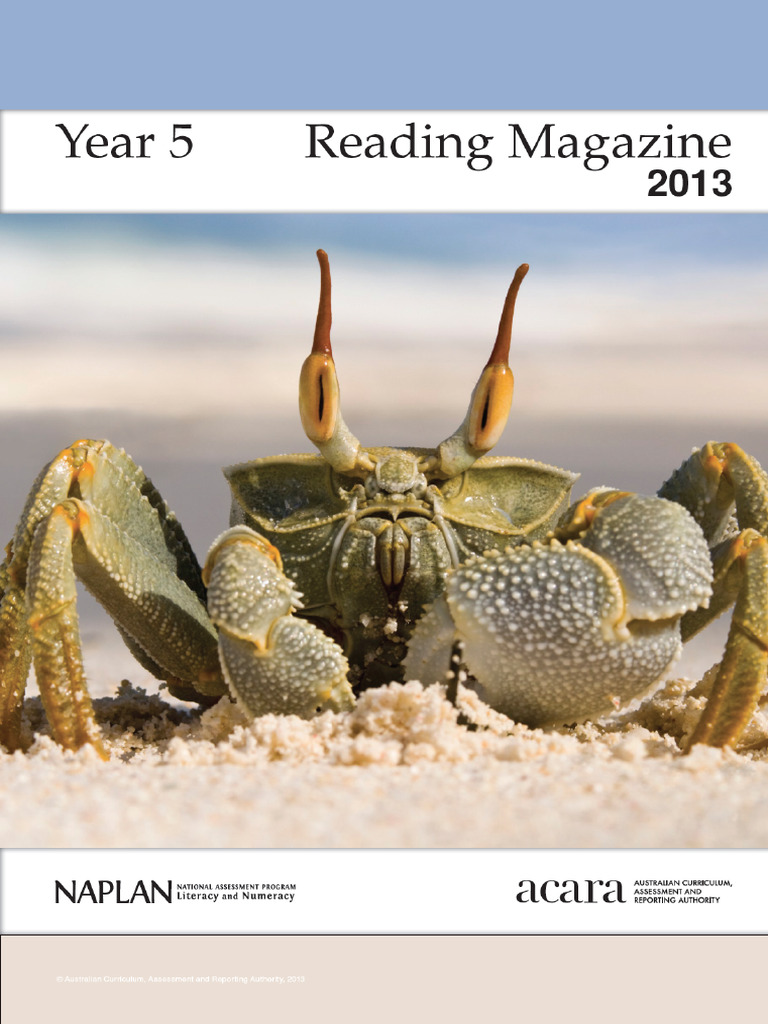 Year 5 NAPLAN (Reading Magazine) | PDF