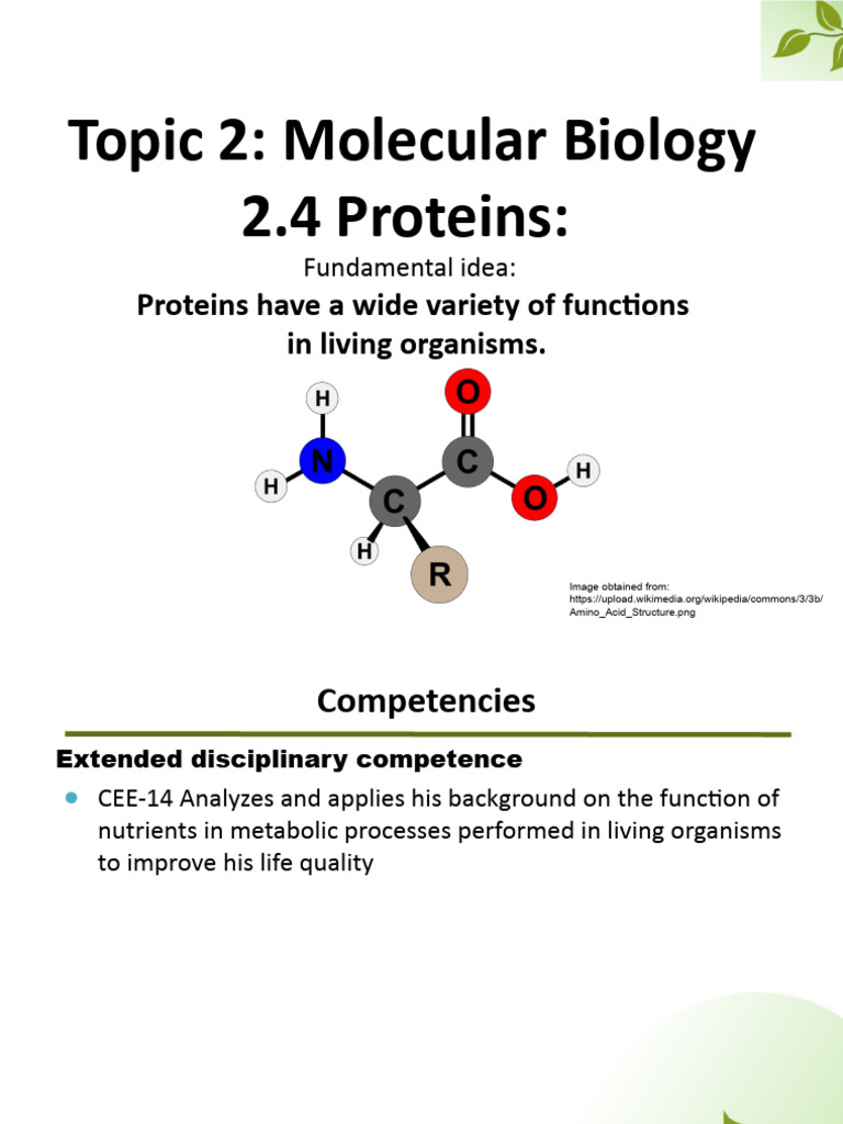 Proteins. | PDF | Peptide | Proteins