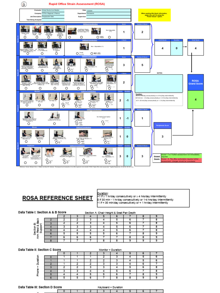 Rosa Excel 1 1 | PDF | Workplace