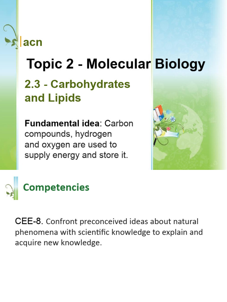 Carbs and Lipids | PDF | Carbohydrates | Fat