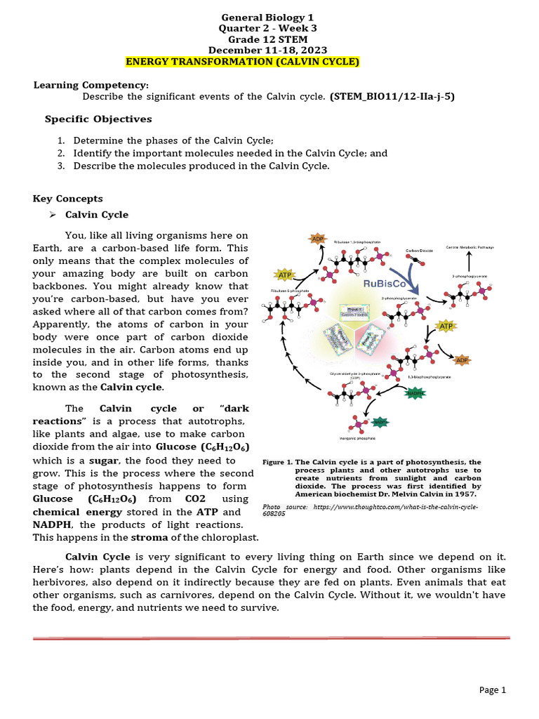 GB1 Q2 Week-3 | PDF | Photochemistry | Photosynthesis