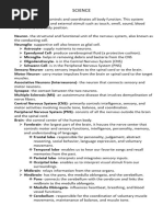 Lower Limb Neurological Examination OSCE Checklist Geeky Medics | PDF ...