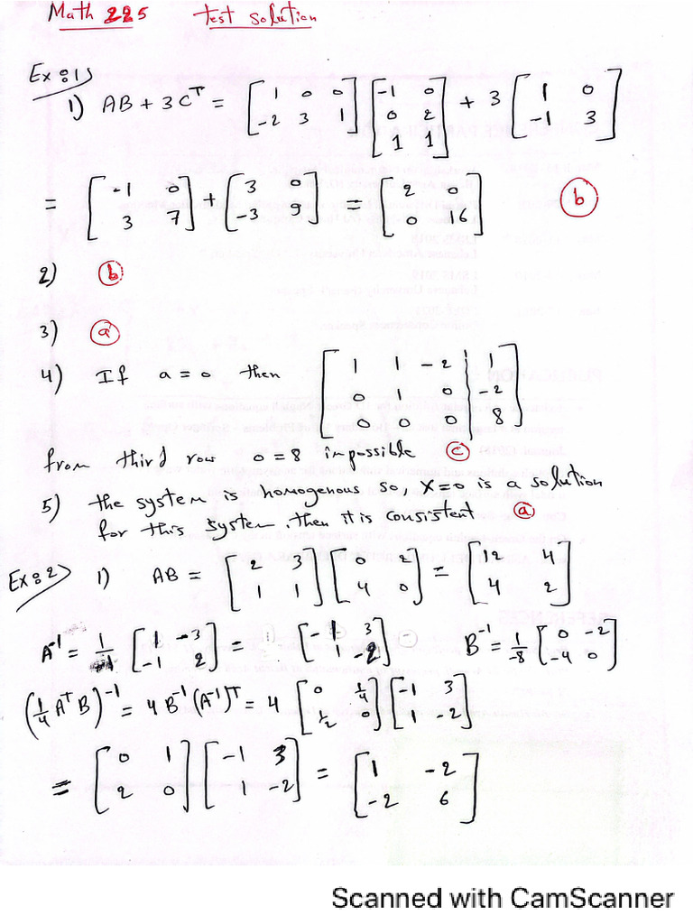 Math 225 Test (Fall) Solution | PDF
