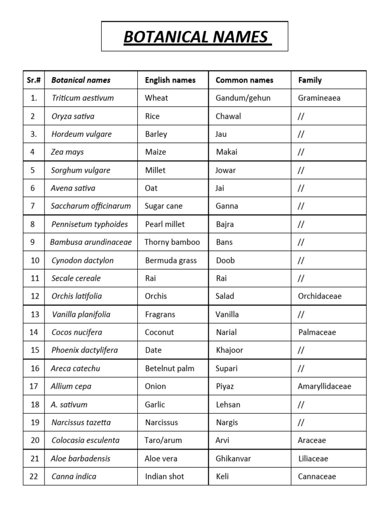 6th Botanical Names | PDF | Cucurbita | Vegan Cuisine