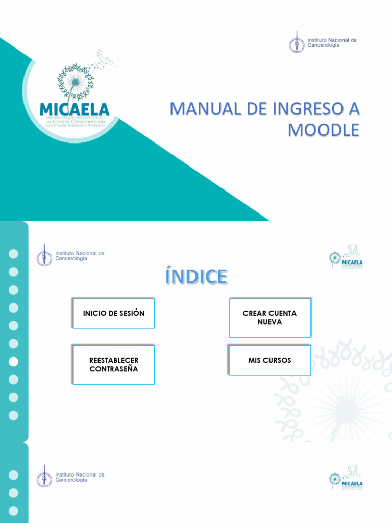 Guía de Acceso a Moodle MICAELA | PDF | Contraseña | Moodle