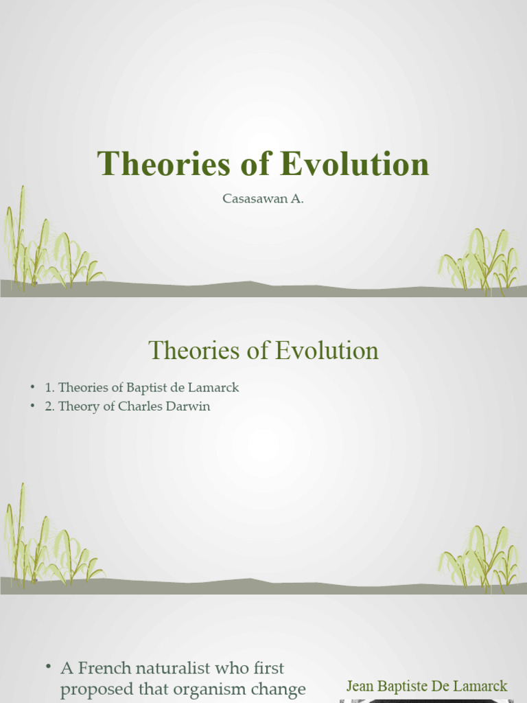 Theories of Evolution | PDF | Evolution | Natural Selection