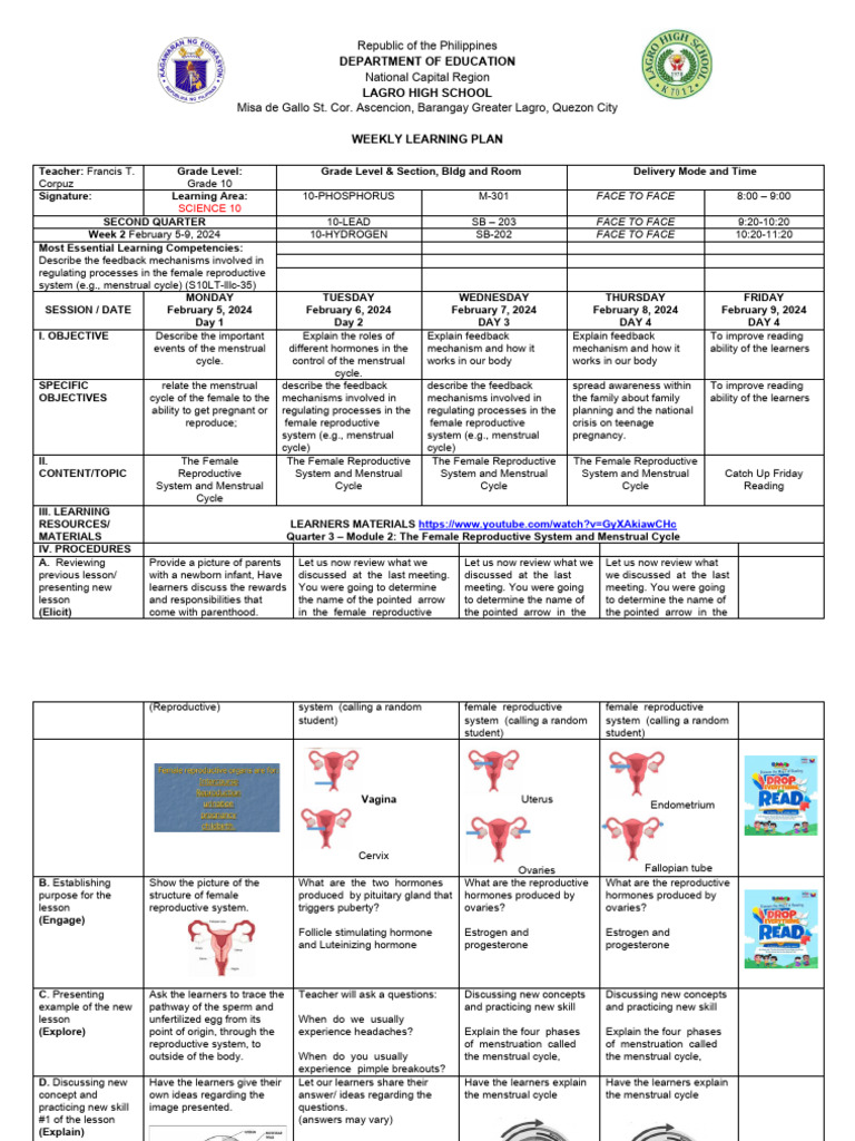 WEEK 2_3rd QUARTER | PDF | Menstrual Cycle | Reproductive System