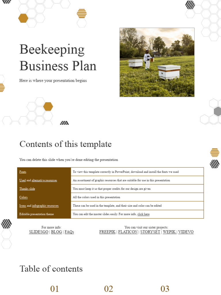 Beekeeping Business Plan | PDF | Planets | Marketing