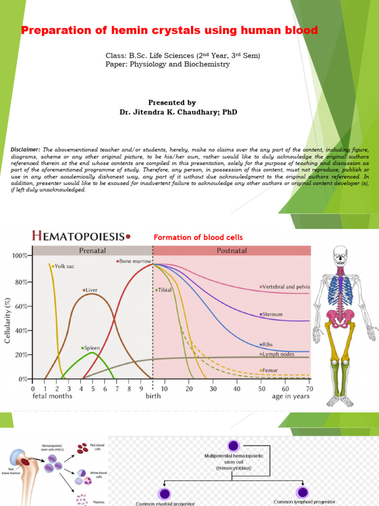Pract-1 Haemin Crystal Study | PDF