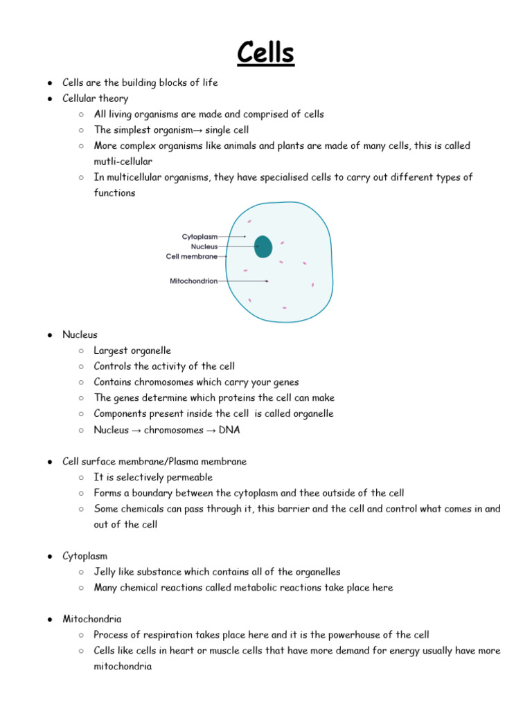 Cells | PDF | Cell (Biology) | Leaf