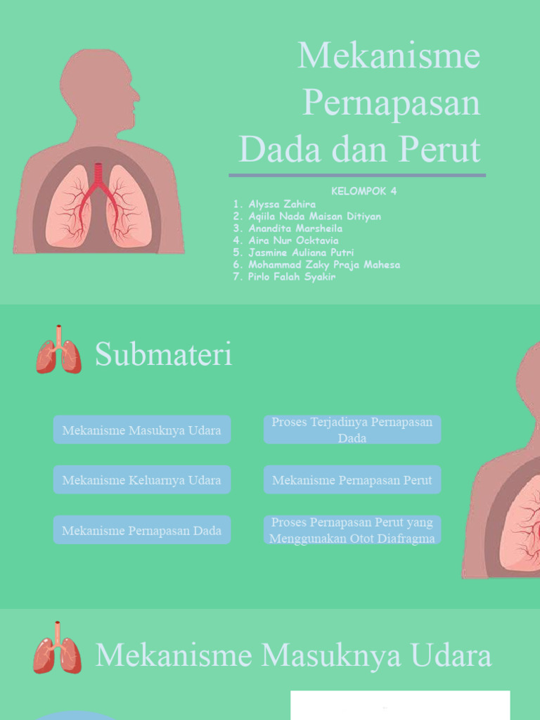 Mekanisme Pernapasan Dada dan Perut | PDF