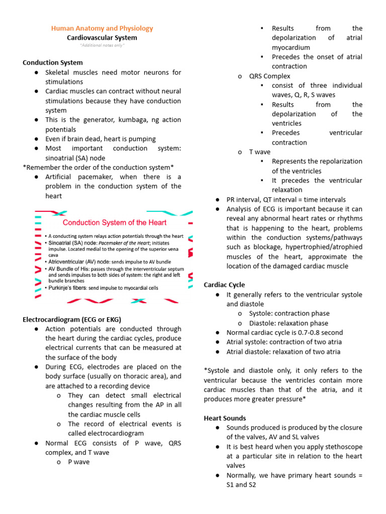HAP Cardiovascular | PDF | Heart | Electrocardiography