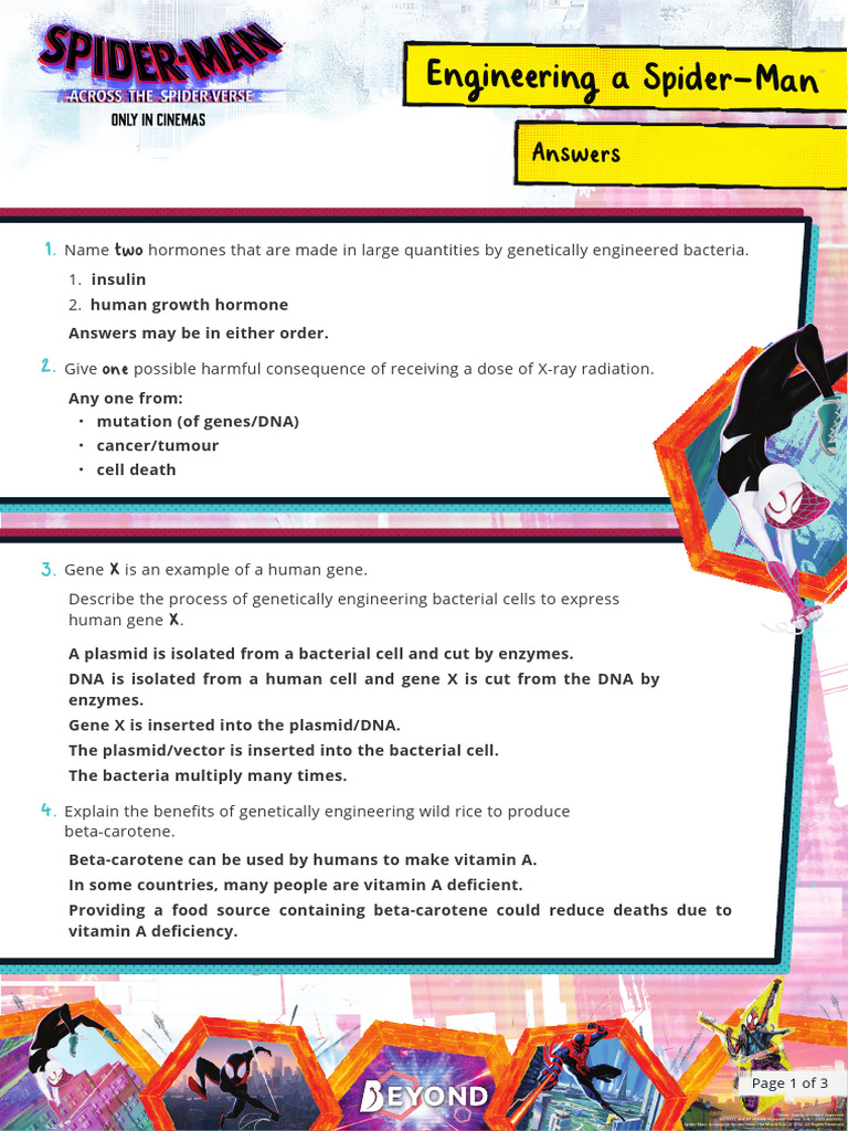 Engineering A Spider-Man Worksheet Answers | PDF | Gene | Genetics