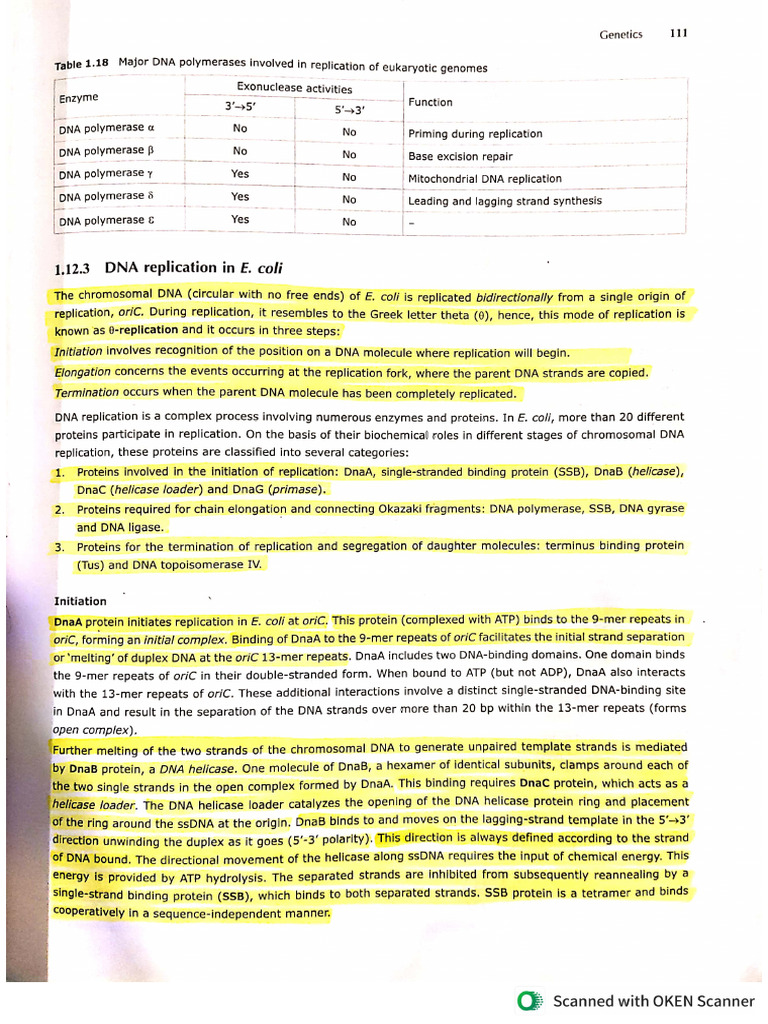 DNA Replication | PDF