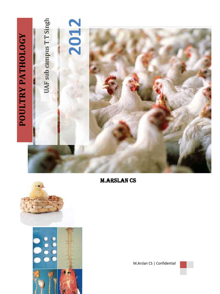 Poultry Pathology Salman Lateef | PDF | Influenza | Virus