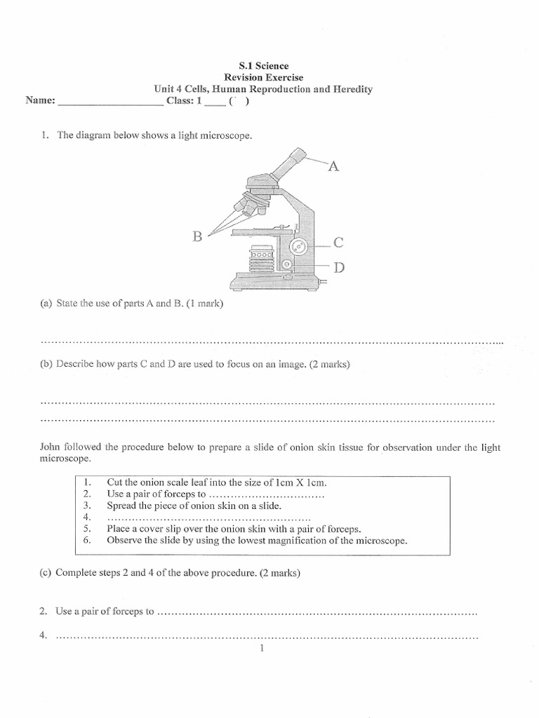 S1 Science Rev Ex Unit 5 - Energy | PDF | Anatomy | Life Sciences