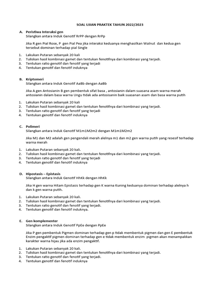 Soal Ujian Praktek Tahun 2022-2023 | PDF