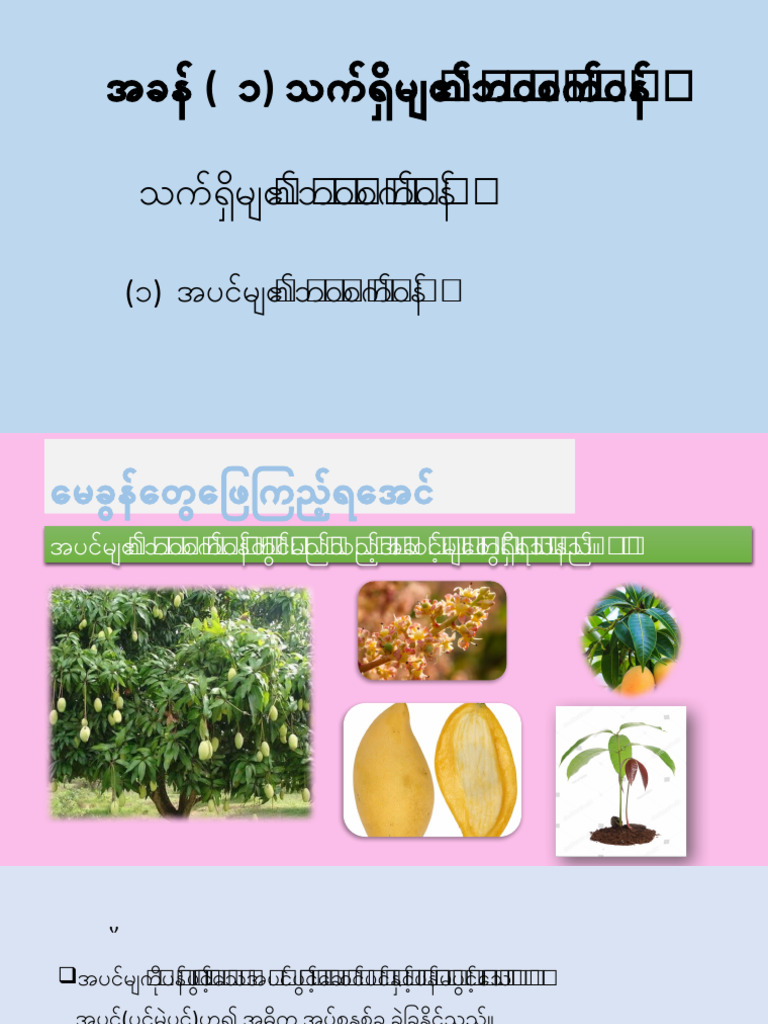 Grade 5 သိပ္ပံ အခန်း ၁ ၁ ၁ Pdf