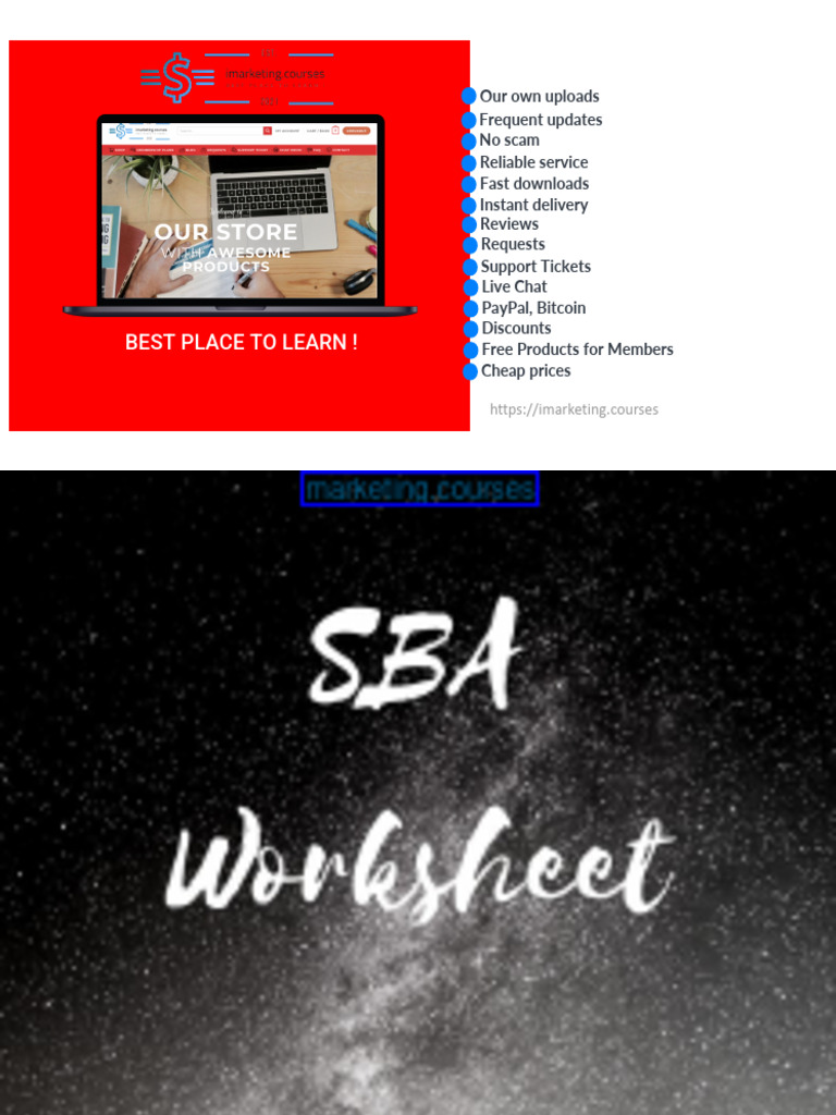 02-SBA Worksheet | PDF