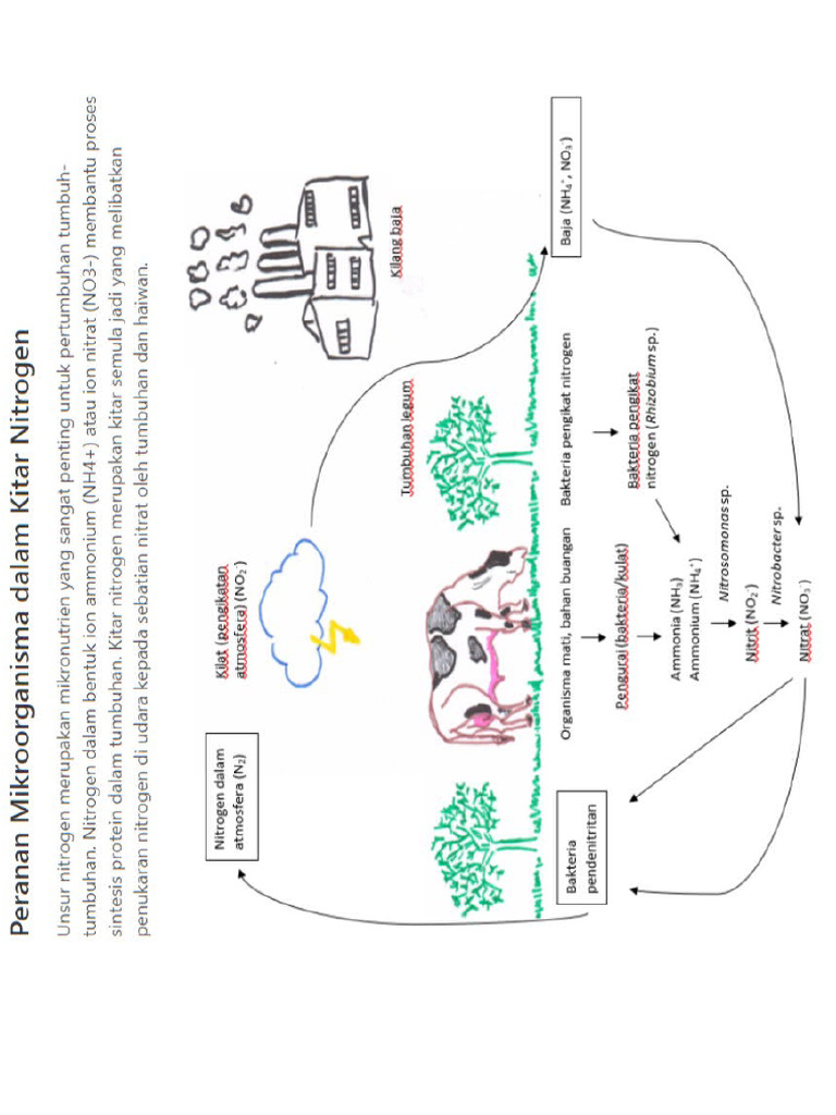 Bio f5 | PDF