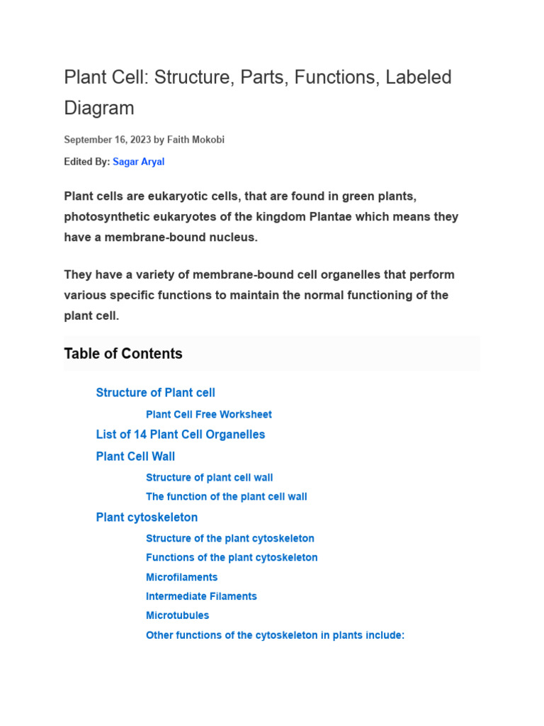 Labeled Plant Cell Structure and Functions | PDF | Cell (Biology ...
