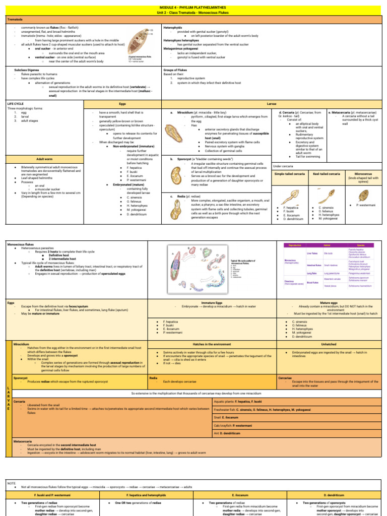 Cest | PDF | Medical Specialties | Diseases And Disorders
