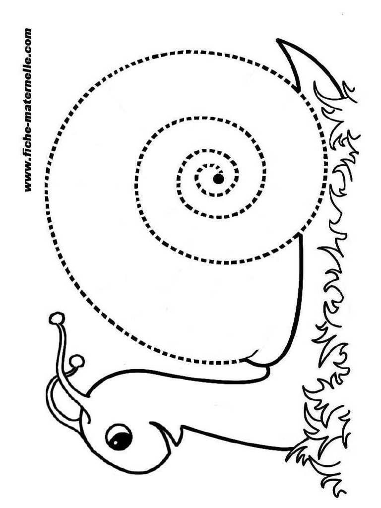 Decouverte Spirale | PDF