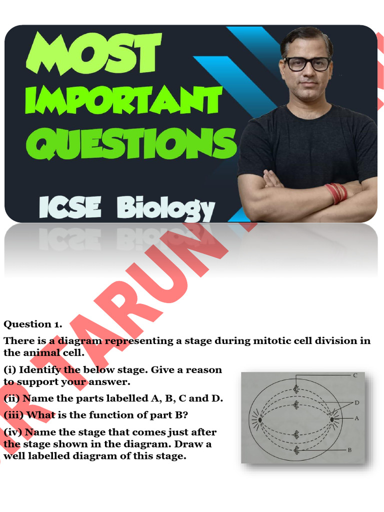 Cell Division and Genetics Study Guide | PDF | Stoma | Endocrine System